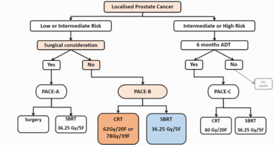 SBRT for Prostate Cancer: Understanding the PACE-B Trial